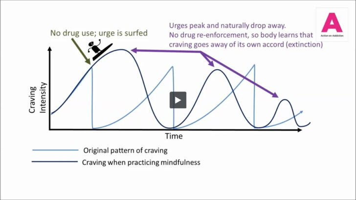 03 Urge Surfing GuardYourEyes Videos | DBT Worksheets